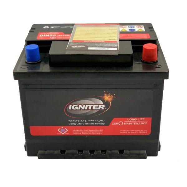 Igniter Battery 12V 100A (45/PAL) (PWLDIN100) – Campnsea